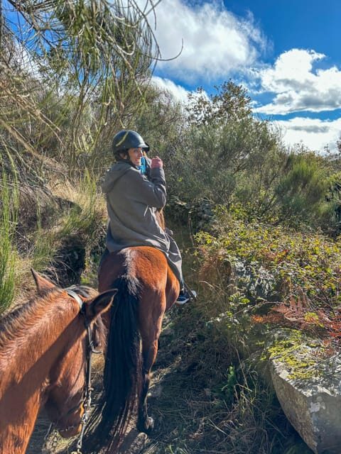 Mountain Horseback Ride & Lunch - Practicalities and Logistics