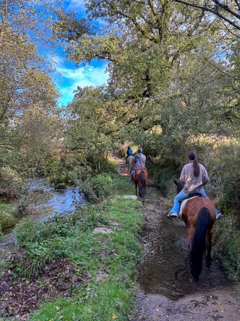 Mountain Horseback Ride & Lunch - Who Would Love This Tour?