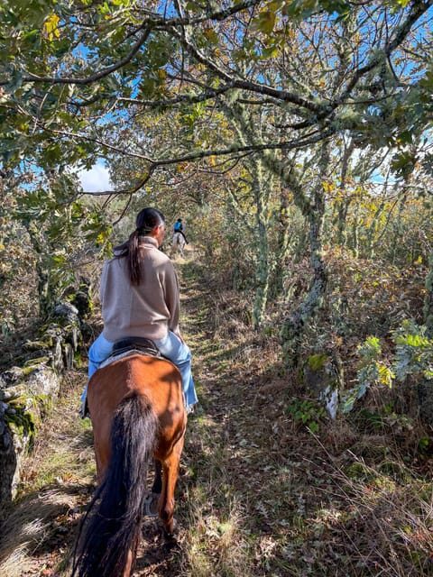 Mountain Horseback Ride & Lunch - Final Thoughts