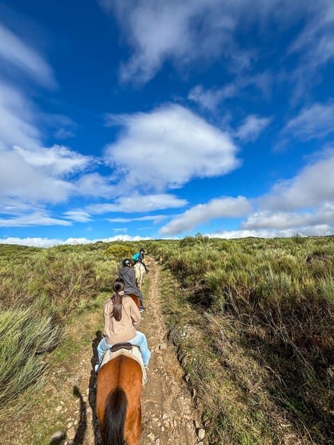 Mountain Horseback Ride & Lunch - Frequently Asked Questions