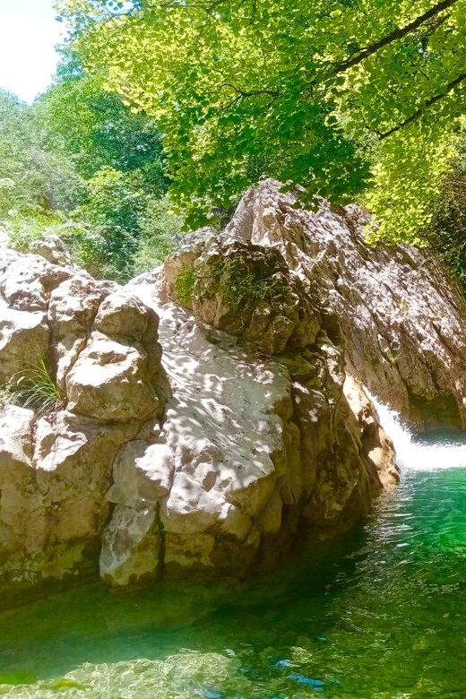 Mountain Train Experience: Hike & Mystic Forest (From Nice) - Stop 2: Annot and the Mystic Forest Hike