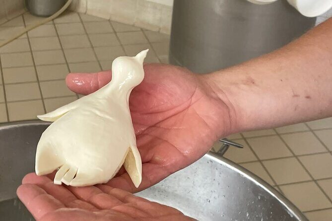 Mozzarella Experience with Tasting in Vico Equense - The Tasting Menu and Local Flavors