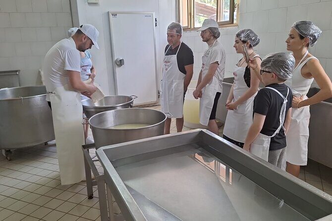 Mozzarella Experience with Tasting in Vico Equense - Practical Details and Tips