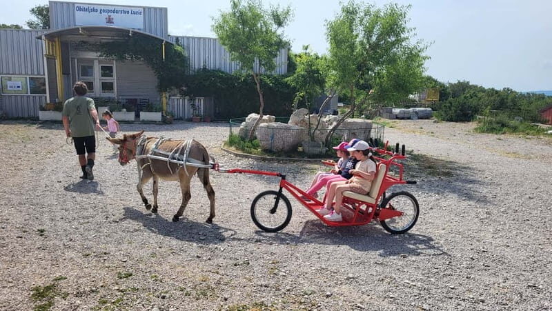mrika (near Rijeka/Krk/Crikvenica) Donkey Farm Family Fun - What to Expect at Mrika Donkey Farm