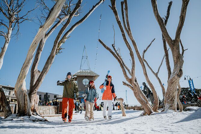 Mt Buller Day Tour  Best Value Hire & Genuine 5 Hours Fun - How the Tour Works in Practice