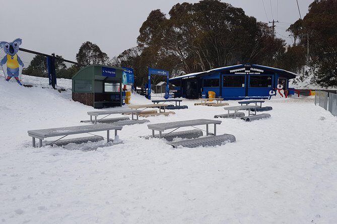 Mt Buller Day Trip from Melbourne - What to Expect from the Itinerary