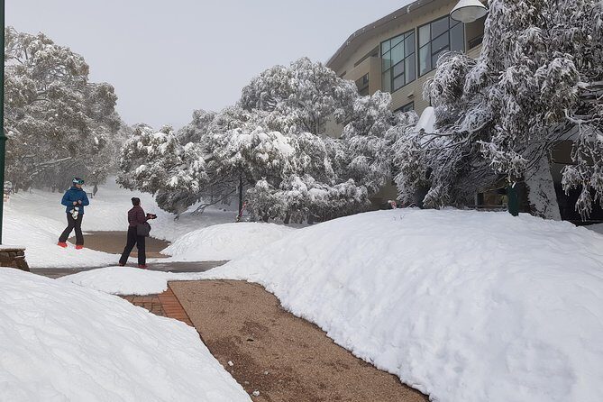 Mt Buller Day Trip from Melbourne - Who Should Consider This Tour?