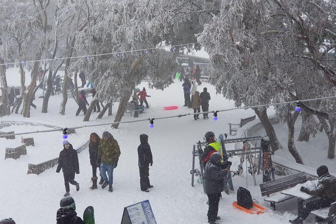 Mt Buller Day Trip from Melbourne - The Sum Up: Is It Worth It?