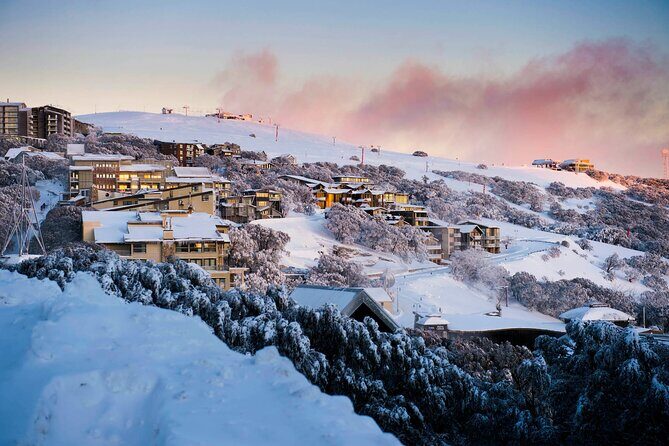 Mt Buller Snowy Escape Day Tour from Melbourne - Key Points