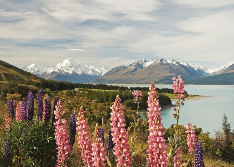 Mt. Cook Day-Tour: Christchurch to Queenstown - What We Loved About the Tour