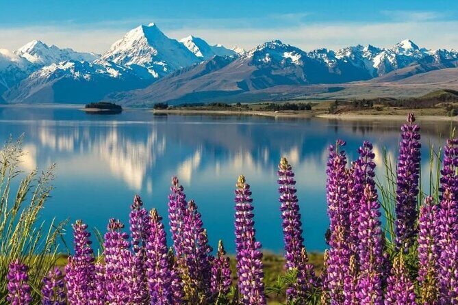 Mt. Cook Private Day Trip From Queenstown with Lake Tekapo - Why Choose This Tour?