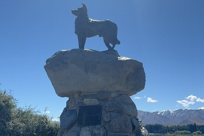 Mt. Cook Private Day Trip From Queenstown with Lake Tekapo - The Experience on the Ground