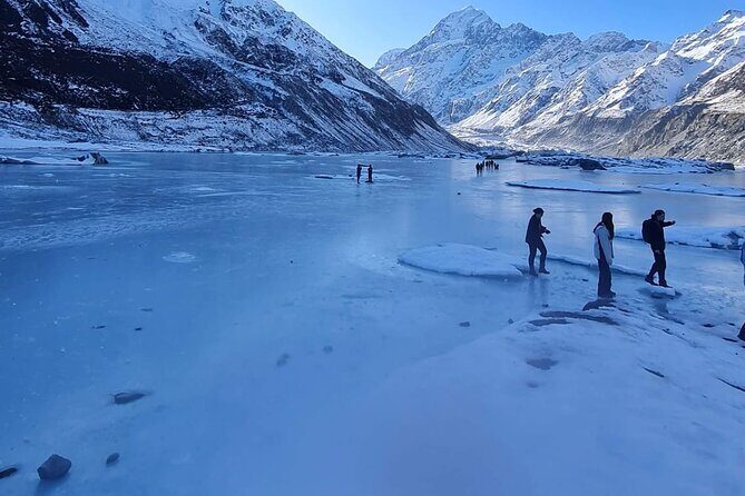 Mt Cook Private Tour from Dunedin: Finish at Queenstown, Dunedin - The Journey Begins: From Dunedin to Otago Peninsula