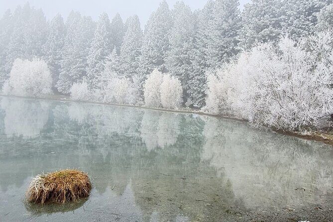 Mt Cook Private Tour from Dunedin: Finish at Queenstown, Dunedin - A Scenic Drive Through Kurow and Back to Dunedin or Queenstown