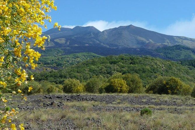 Mt. Etna nature and flavors half day Tour from Catania - Final Thoughts