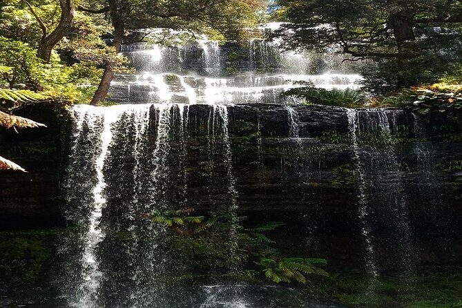 Mt Field National Park and Russell Falls from Hobart - Key Points