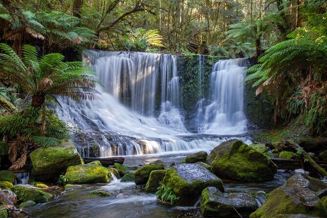 Mt Field National Park and Russell Falls from Hobart - Introduction: A Natural Feast for Tasmanian Visitors