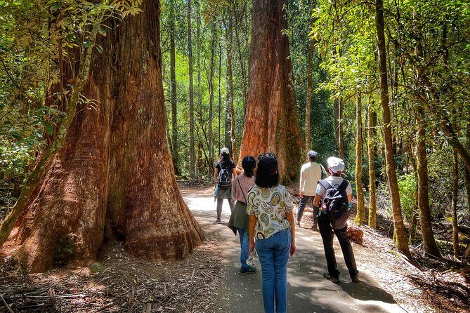 Mt Field National Park and Russell Falls from Hobart - Value for Money