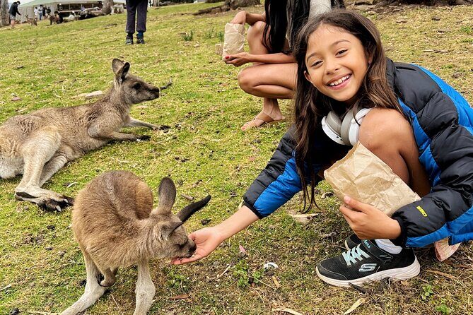 Mt Field National Park and Russell Falls with Bonorong Wildlife - FAQs