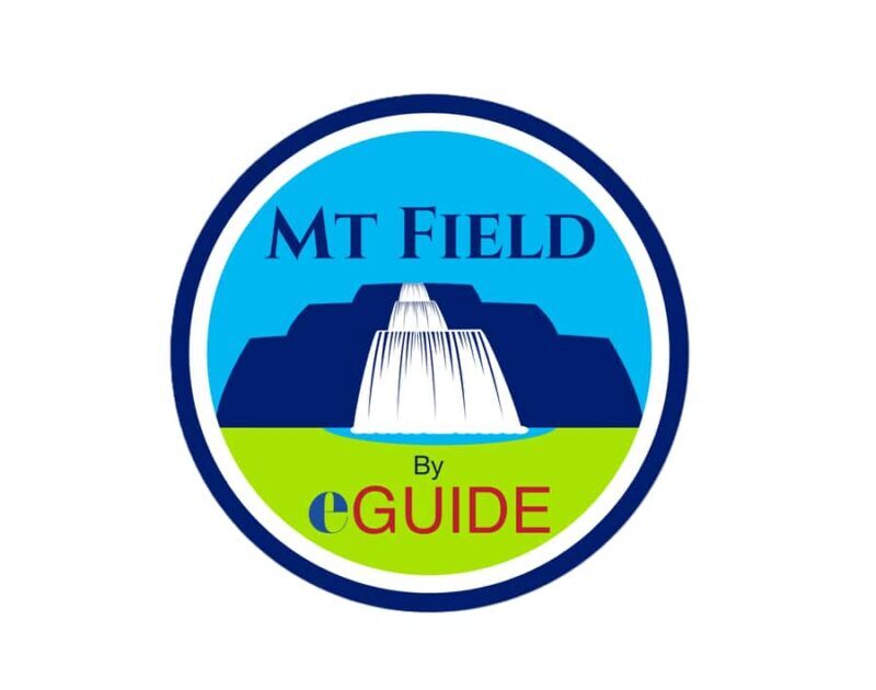 Mt Field Shore Excursion - An In-Depth Look at the Itinerary and Experience