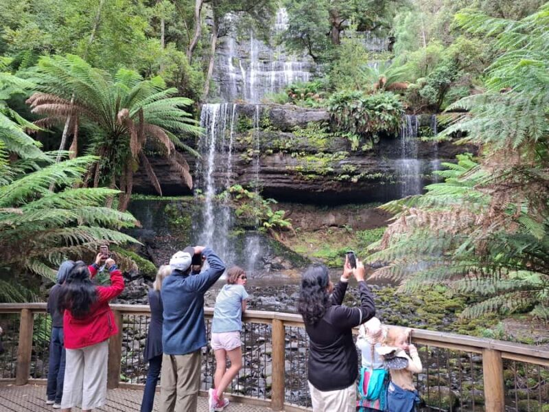 Mt Field Shore Excursion - What We Loved About This Tour