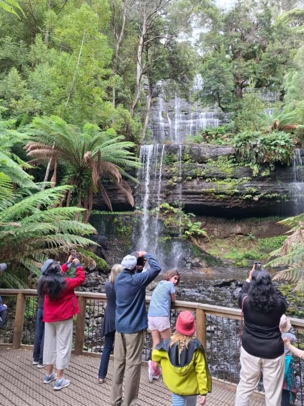 Mt Field Shore Excursion - What Could Be Better