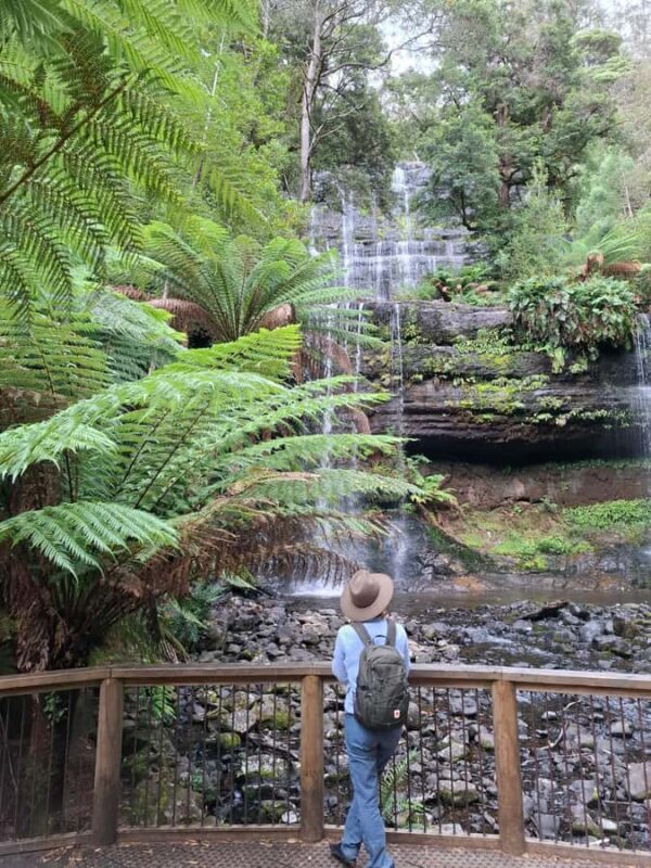 Mt Field Shore Excursion - Final Thoughts