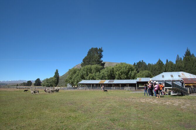 Mt. Hay Farm Experience Genuine Country Farming(Carbon Positive) - Authenticity and Value