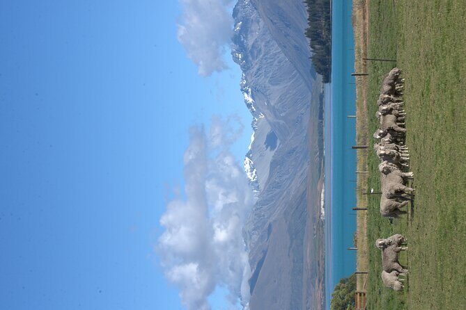 Mt. Hay Farm Experience Genuine Country Farming(Carbon Positive) - Final Thoughts: Is It Worth It?