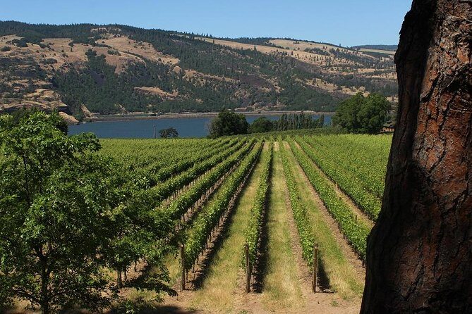 Mt Hood, Waterfalls, and Wine Tour with Tasting Fees Included - Discovering Oregon’s Natural and Cultural Gems