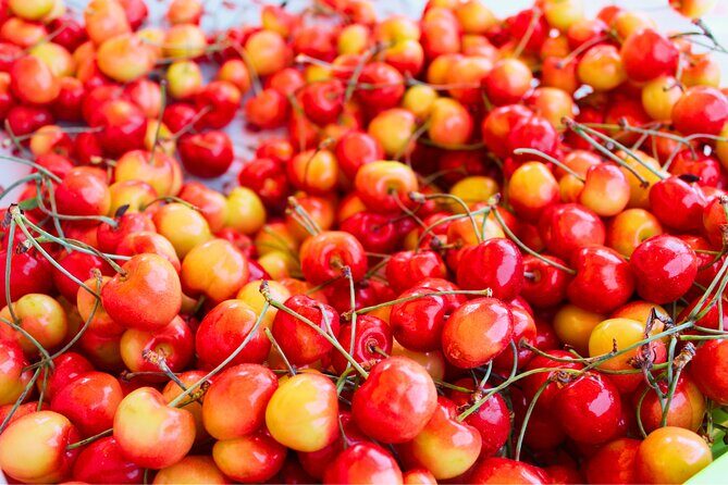 Mt Hood, Waterfalls, and Wine Tour with Tasting Fees Included - Who Will Love This Tour?