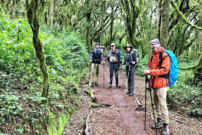 Mt Kilimanjaro Hiking via Marangu Route Day Trip - Why Choose the Mount Kilimanjaro Day Trip?