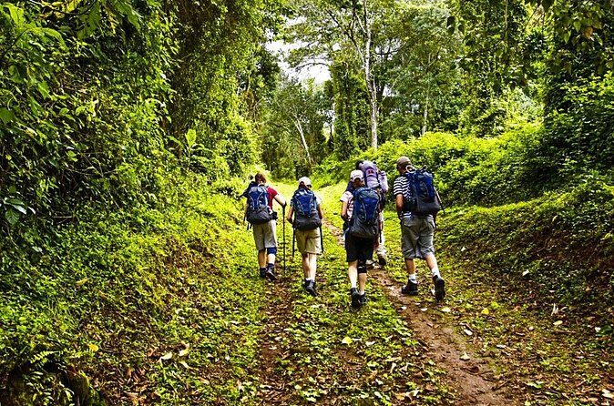 Mt Kilimanjaro Hiking via Marangu Route Day Trip - Who Might Want to Skip It?