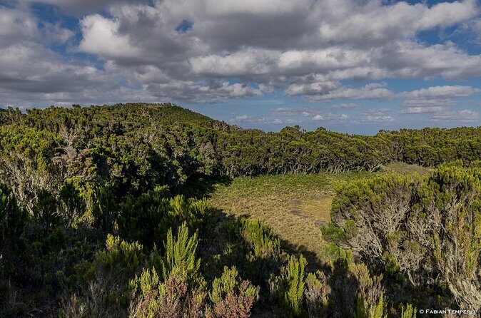 Mt Kilimanjaro Hiking via Marangu Route Day Trip - Final Thoughts: Is It Worth It?