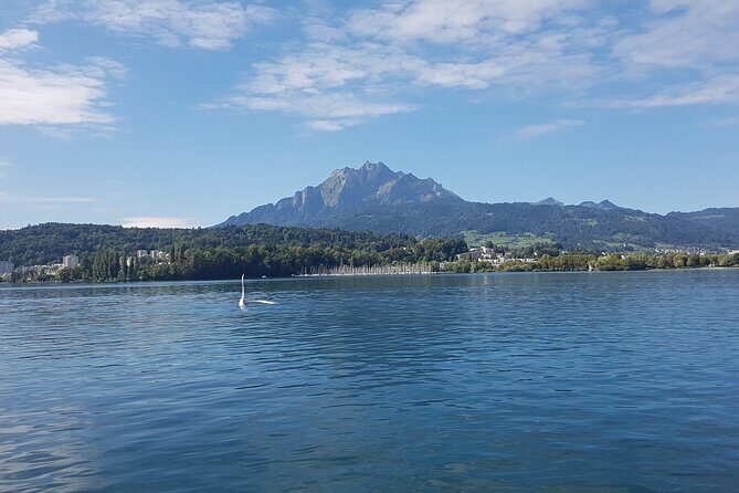 Mt. Pilatus Golden Roundtrip Small Group Day Trip from Basel - The Value of This Tour
