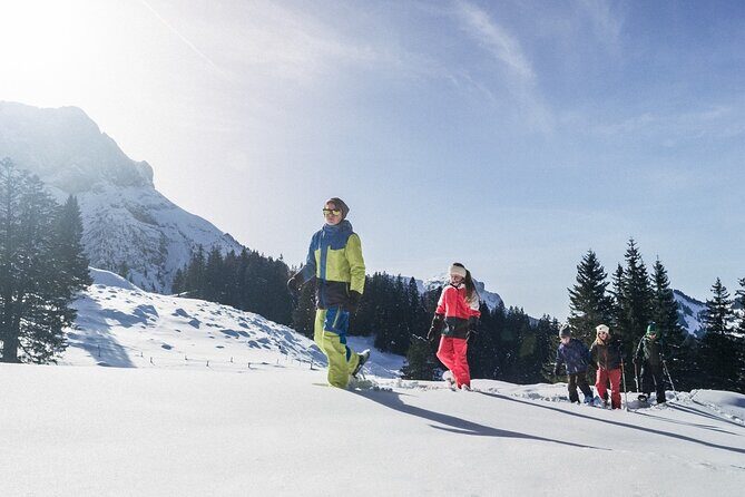 Mt. Pilatus Gondola and Aerial Cableway Ticket from Kriens - Authentic Experiences and Insights from Travelers