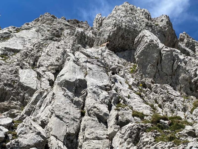 Mt. Pilatus & Lake Lucerne Small Group Tour | From Lucerne - Transportation and Timing Considerations