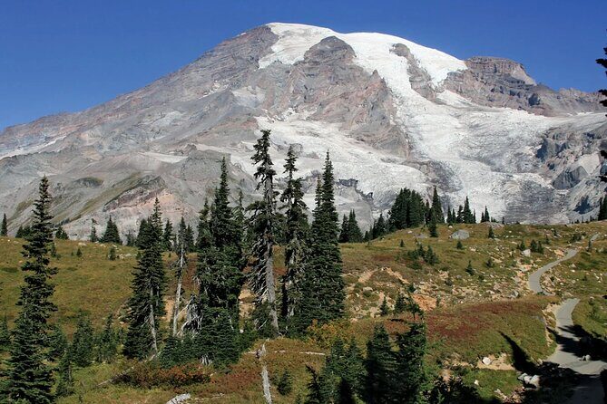 Mt. Rainier tour with Gandola ride at Sunrise and Paradise - Is This Tour Worth the Price?