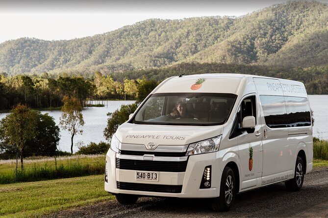 Mt Tamborine Shuttle Service - Gold Coast Return Transfer - Key Points