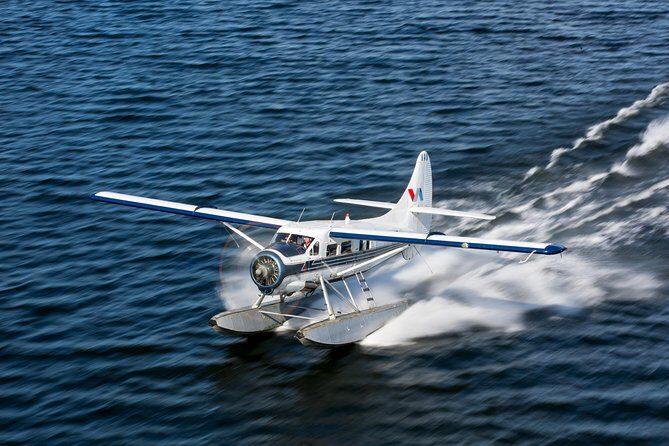 Mt. Tarawera Volcano Scenic Floatplane Tour from Rotorua - Key Points