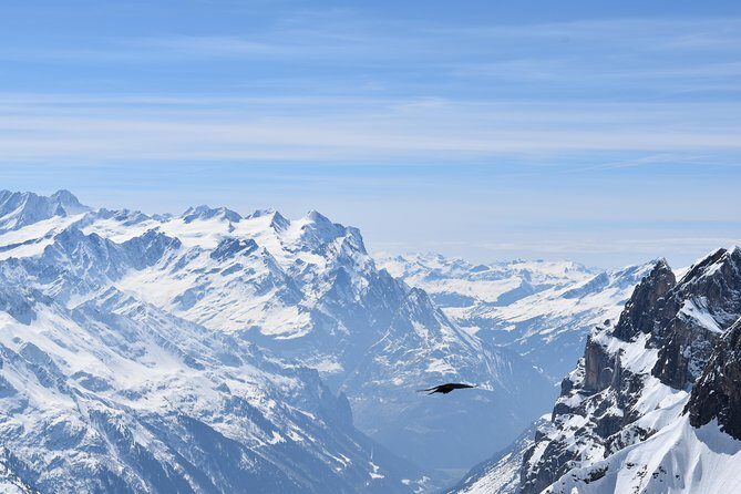 Mt. Titlis First Time Ski Experience from Zurich - Real-Life Insights from Tour Reviews