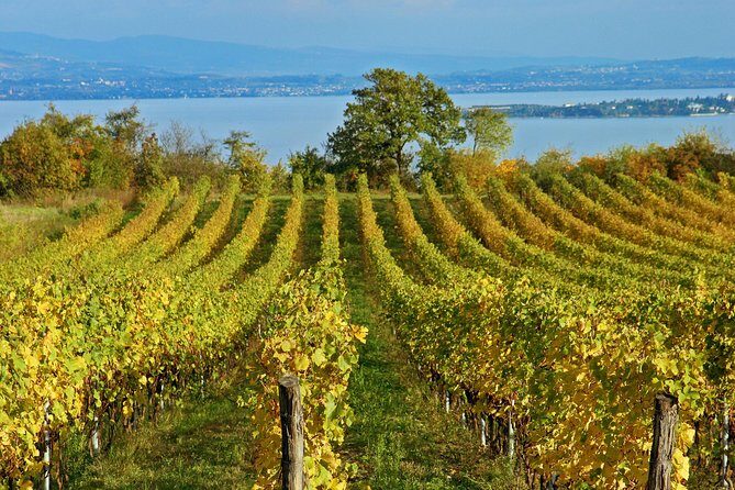 Mt Vesuvius - What the Tour Offers and How It Works