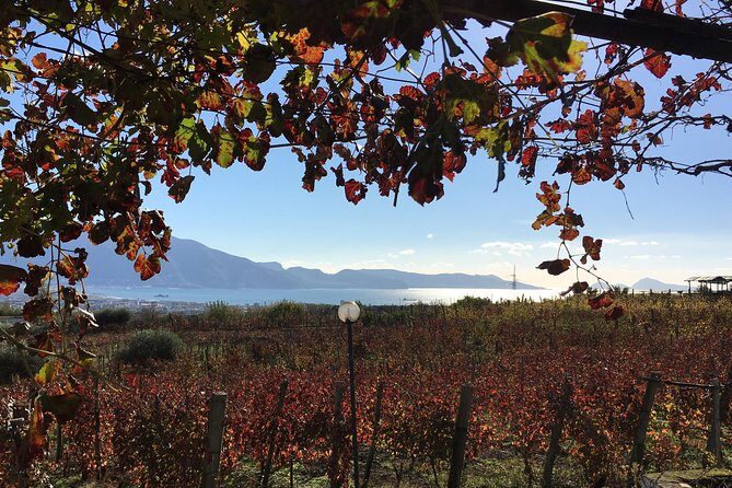 Mt. Vesuvius Wine Tasting and Lunch Experience from Pompeii - Introduction