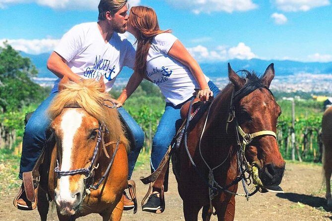 Mt. Vesuvius Wine Tasting and Lunch Experience from Pompeii - What Makes This Tour Stand Out?