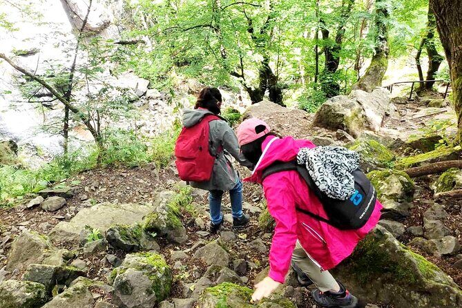 Mt. Vitosha and Boyana Waterfall Hiking Tour from Sofia - Start and Logistics