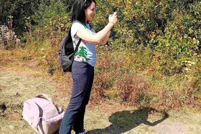 Mt. Vitosha and Boyana Waterfall Hiking Tour from Sofia - Additional Insights from Travelers