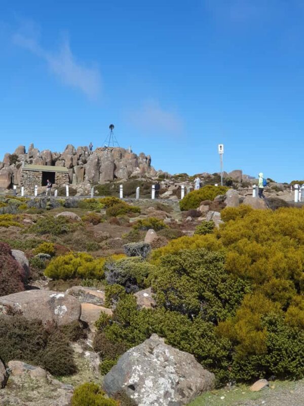 Mt Wellington Afternoon Small Group Driving Tour - The Sum Up