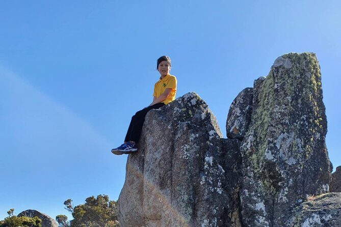 Mt Wellington Afternoon Small Group Driving Tour - Fern Tree and Lush Lifestyles