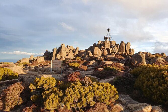 Mt Wellington Afternoon Small Group Driving Tour - Reaching the Summit