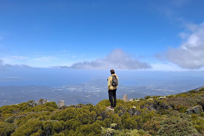 Mt Wellington Hobart Shore Excursion - The Sum Up